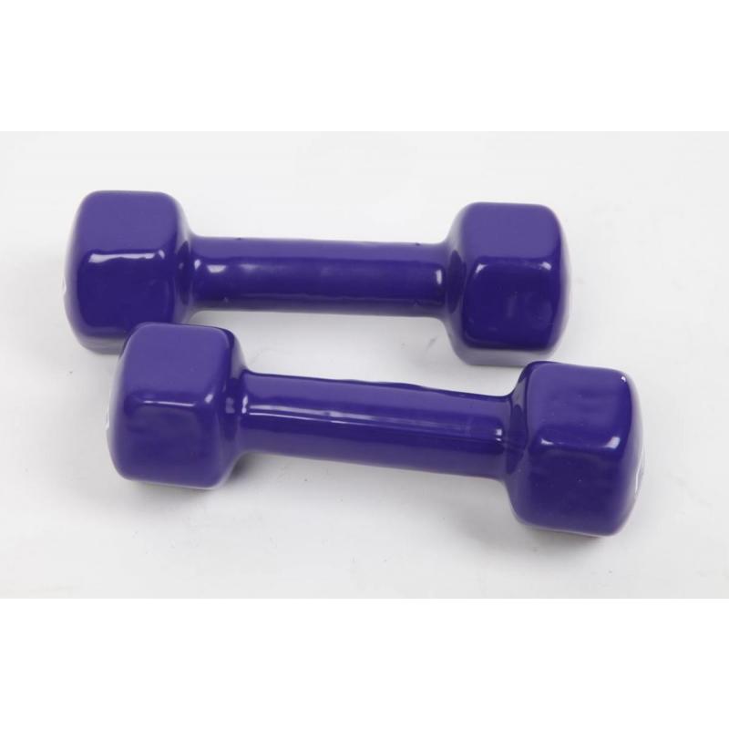 2kg Dumbbells Pair Pvc Hand Weights Rubber Coated